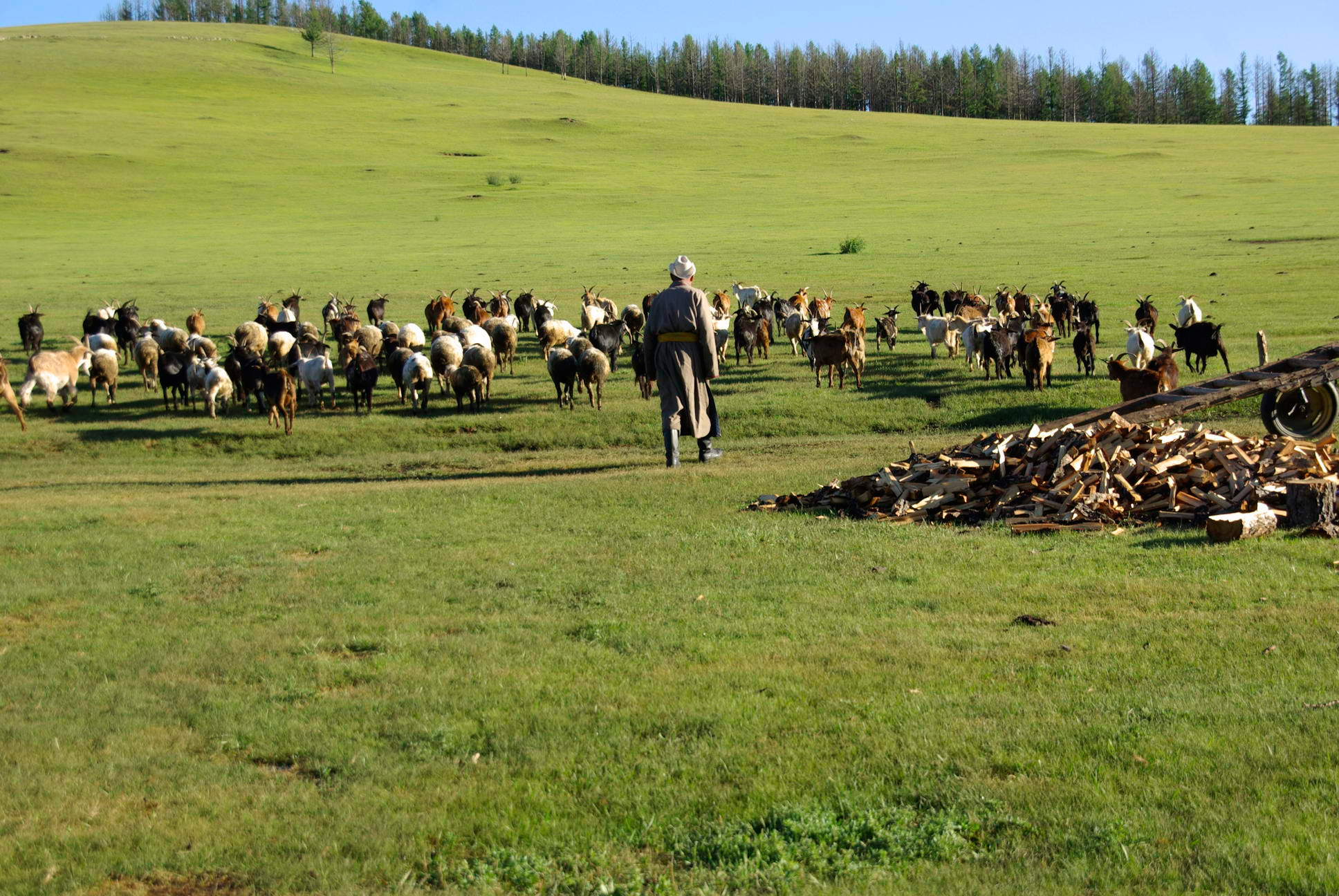 Treasures of Northern Mongolia Tour / Northern Mongolia