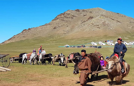 Mongol Nomadic Tourist Ger Camp